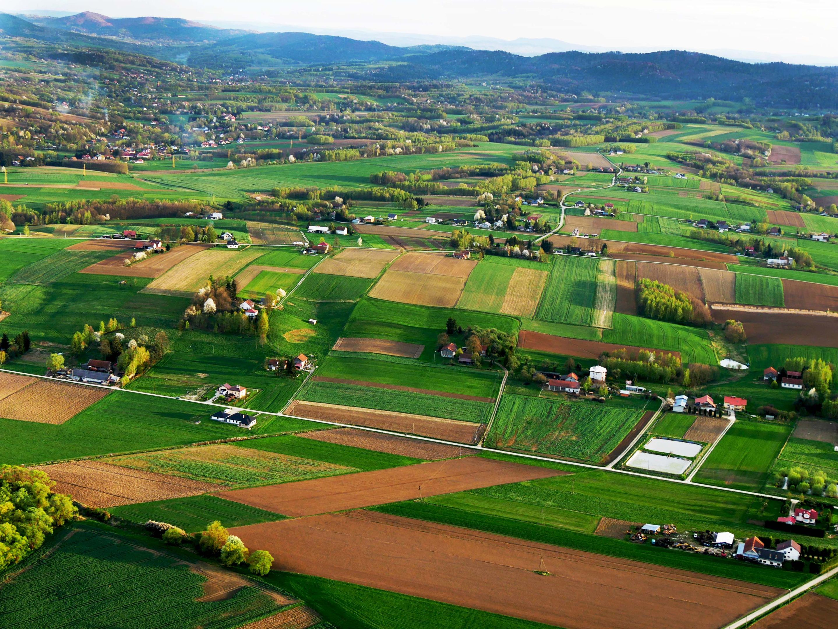 Wiosenne kolory z paralotni - zdjęcia kol. Jana Stachury. - Uniwersytet ...