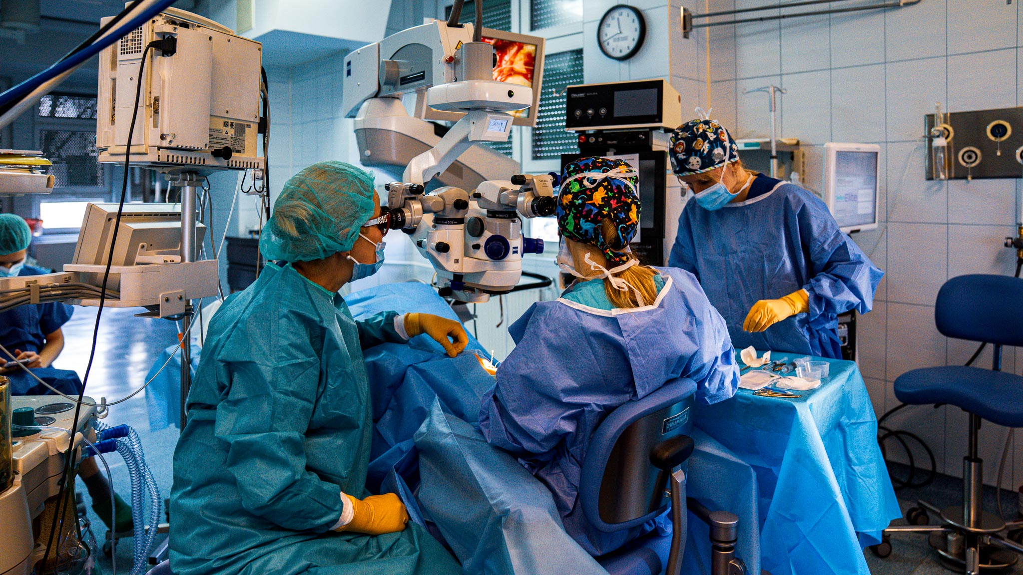 The first procedure in Poland using a new model of submacular plug ...