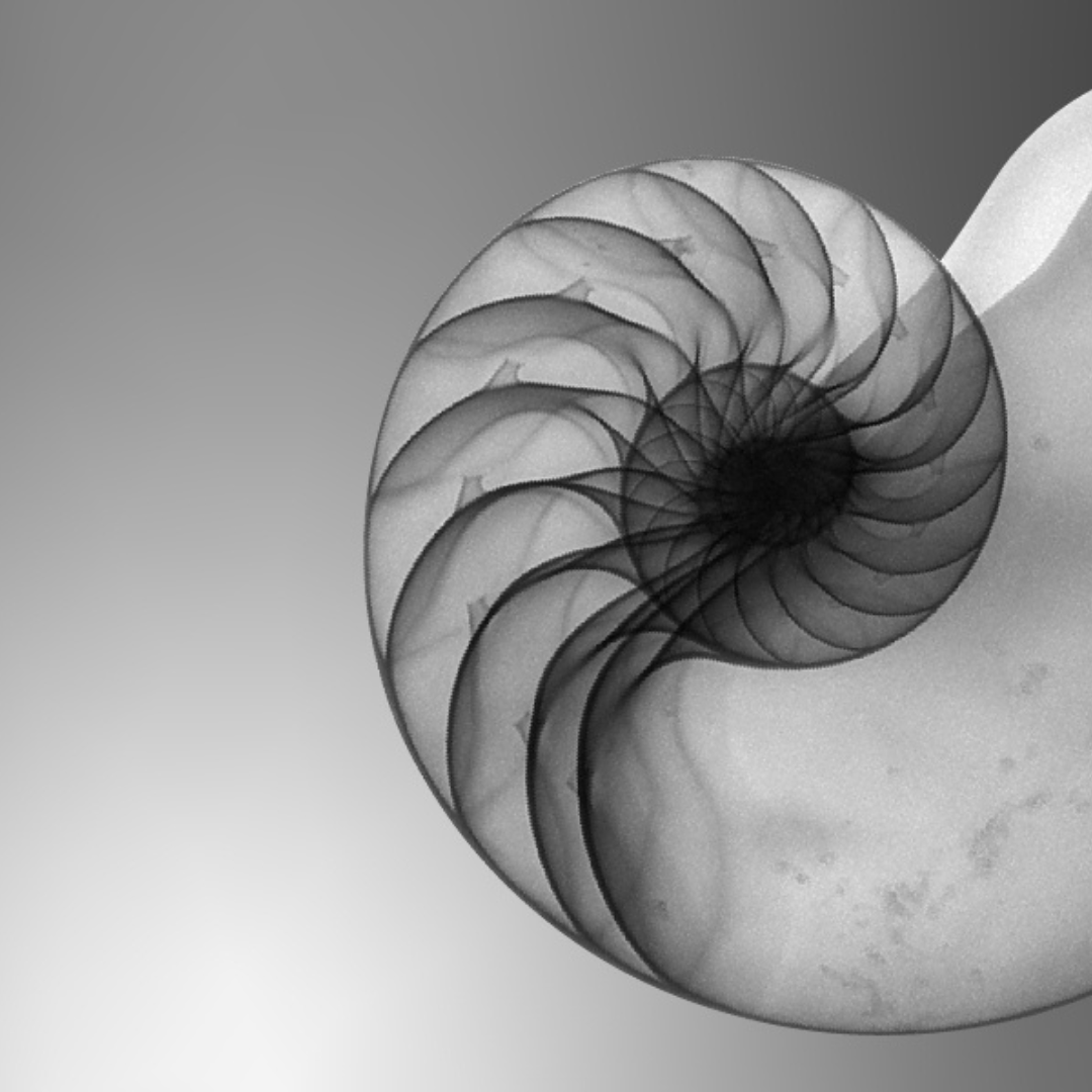 Otwarcie zmodernizowanej pracowni RTG w Uniwersytecie Rzeszowskim ...