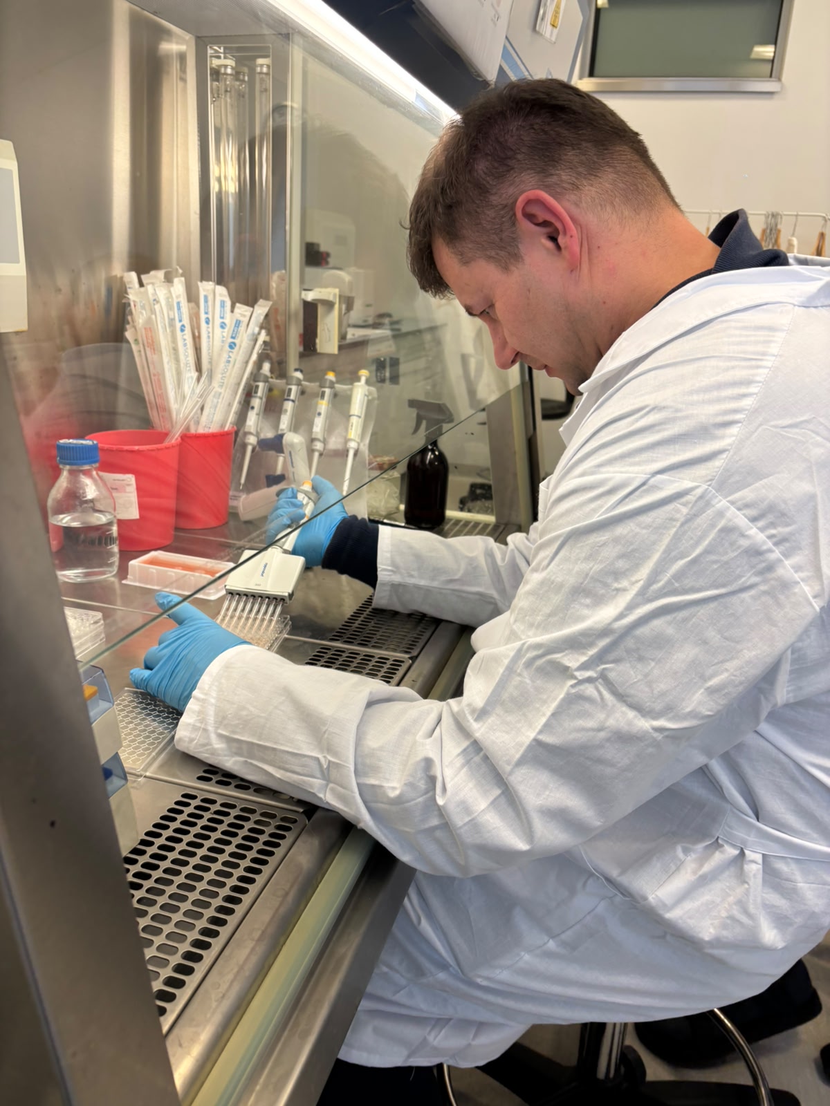 Conducting Cell Cultures in Three-Dimensional Conditions - Uniwersytet ...
