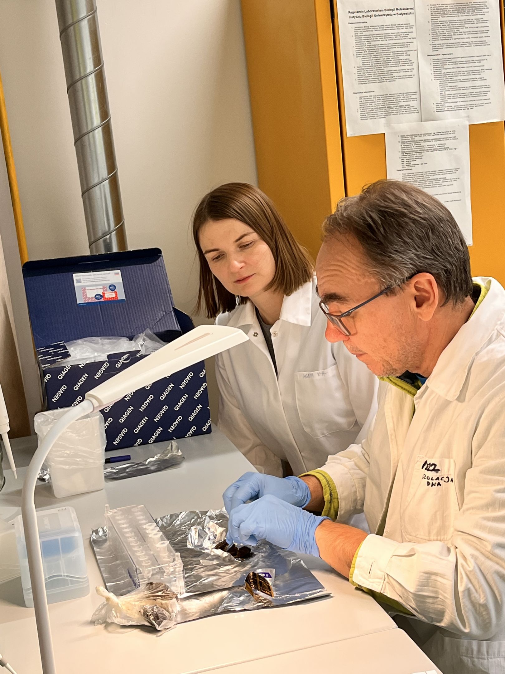 Staż naukowy w Katedrze Zoologii i Genetyki Wydziału Biologii Uniwersytetu w Białymstoku ...